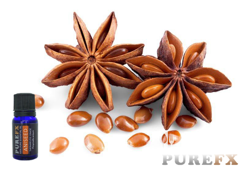 Aniseed Essential Oil – PureFx